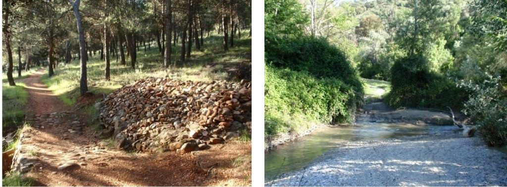 RUTA CAMINO DEL AGUA (LLANO DE LA PERDIZ)+ GRANADA - Quedadas Málaga